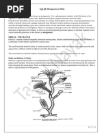 Structure and Forms of Obelia | PDF