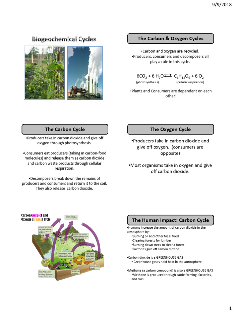 Biogeochemical Cycles and Human Impact | PDF | Carbon Dioxide | Water