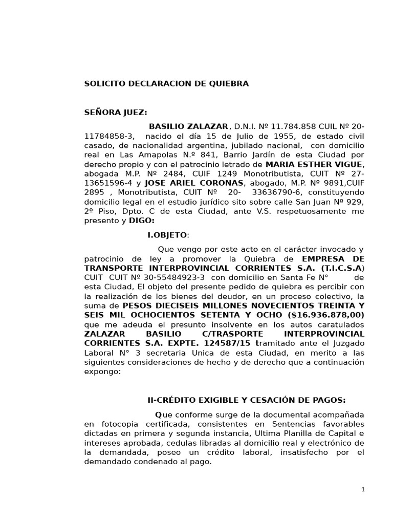 SOLICITA DECLARACION DE QUIEBRA DE TICSA | PDF | Bancarrota | Liquidación