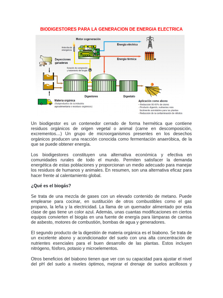 BIODIGESTORES PARA LA GENERACION DE ENERGIA ELECTRICA | PDF | Biogás | Residuos