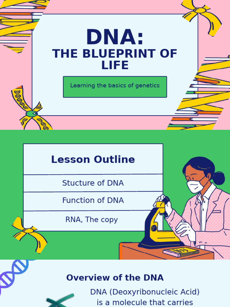 Structure of DNA Science PPT by Jash and Jiyaan | PDF | Dna ...