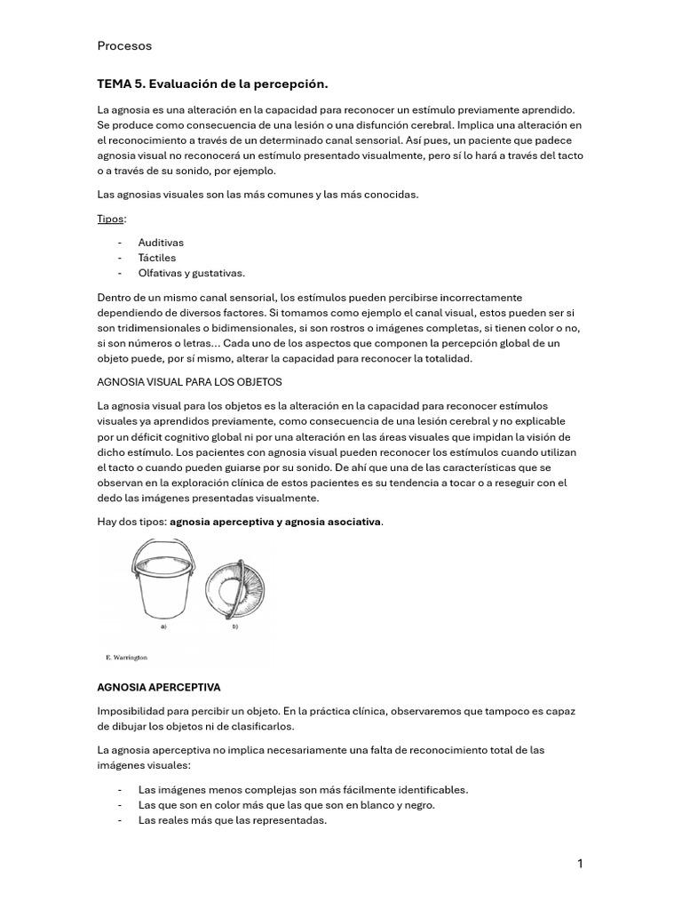TEMA 5 Procesos | PDF | Procesos mentales | Neurociencia