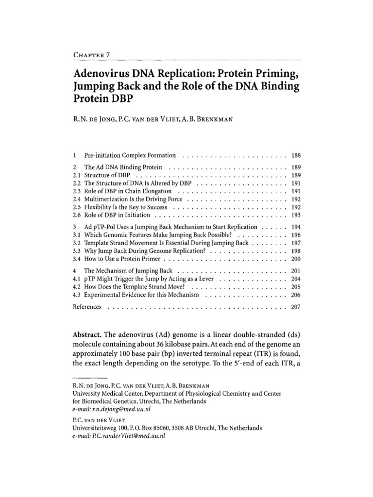 Protein Primer | PDF