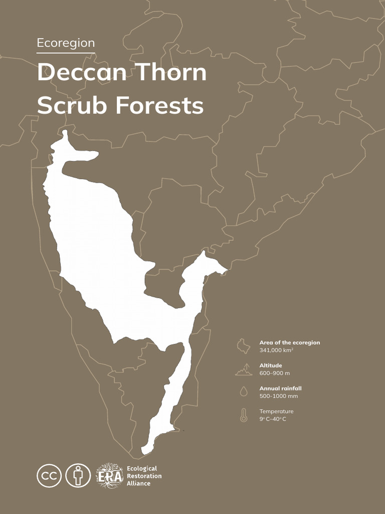 Deccan Thorn Scrub Forests | PDF | Forests | Physical Geography