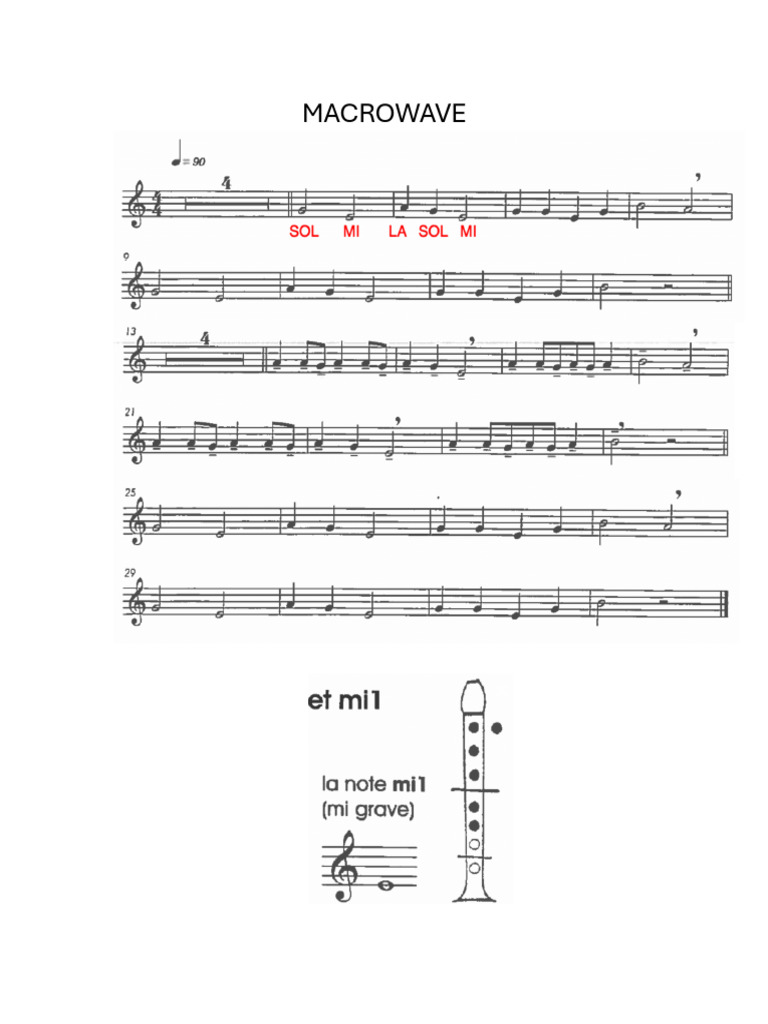 Macrowave Overview | PDF