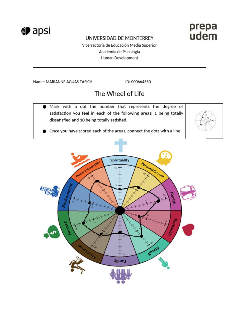 Activity The Wheel of Life | PDF | Psychology | Social Psychology