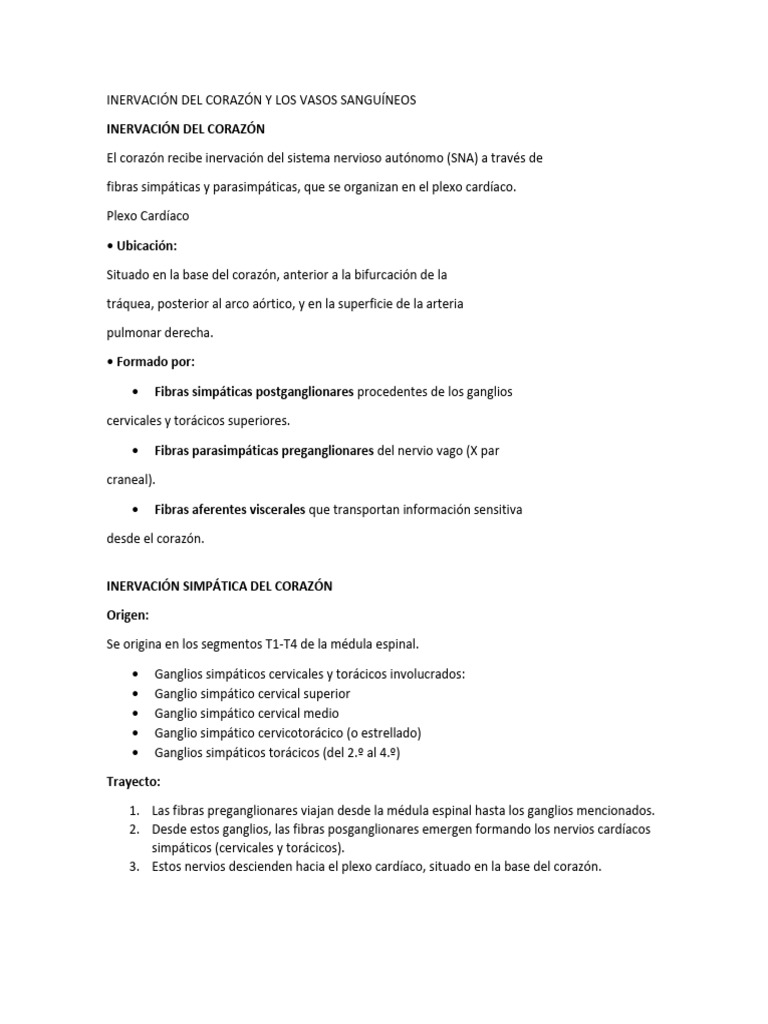 Inervación Del Corazón y Sistema Linfático | PDF | Bazo | Sistema linfático