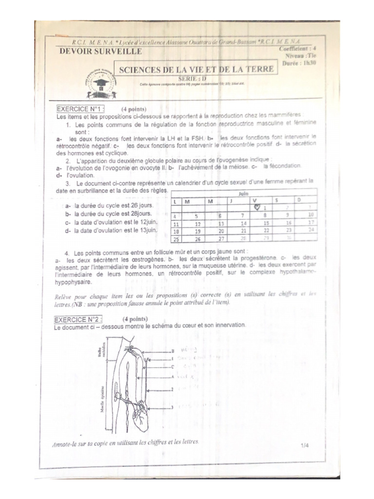 Devoir Surveille | PDF