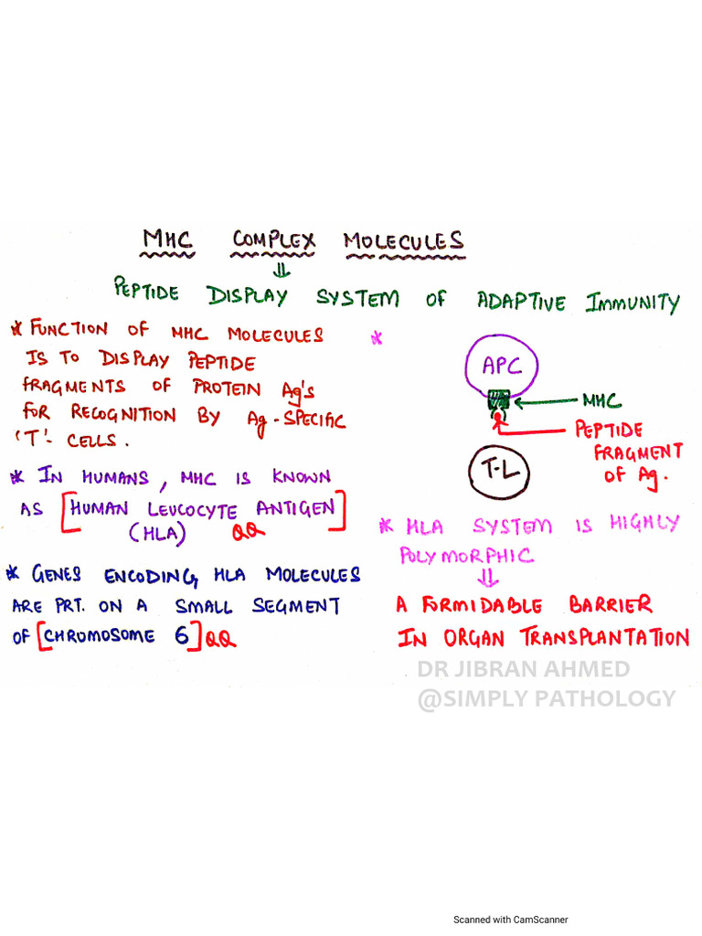 DR Jibran Ahmed @simply Pathology | PDF