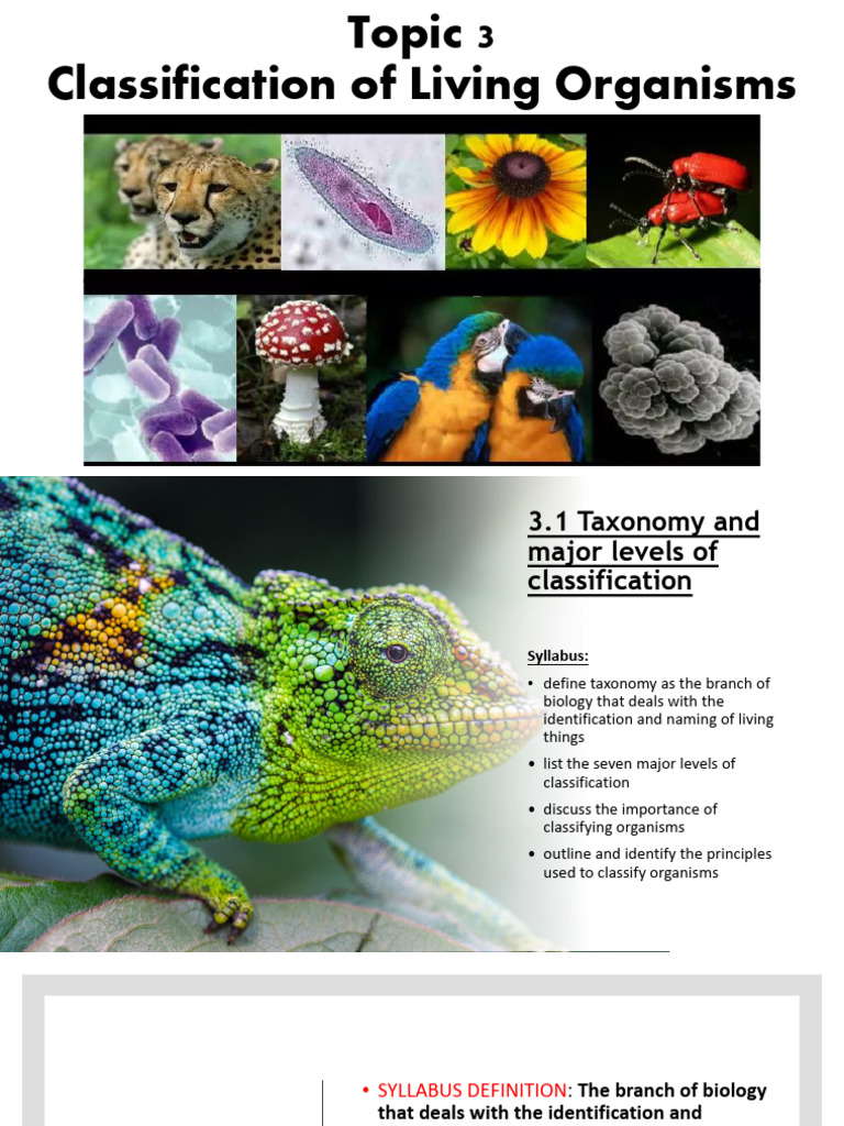 Topic 3 - Classification of Living Organisms | PDF | Taxonomy (Biology ...