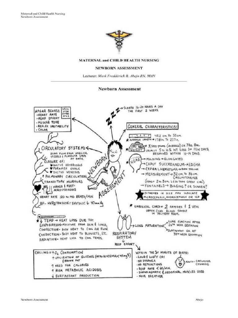 Health Assessment On Newborn | PDF