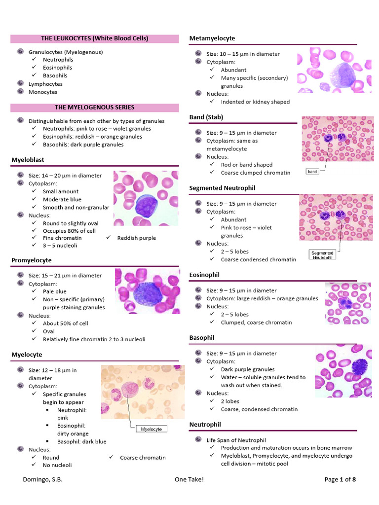 Notes in Hema Lab Finals | PDF | White Blood Cell | Leukemia