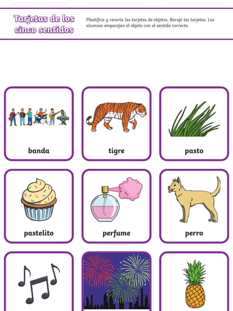 Flash Cards Sentidos | PDF