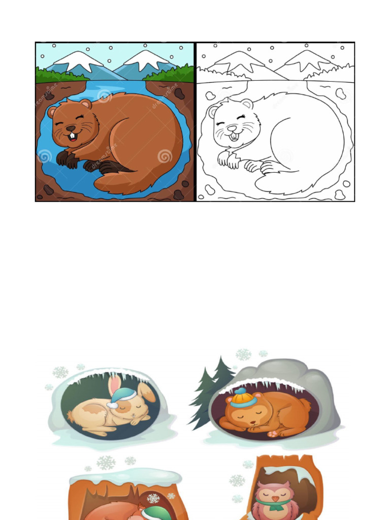 Dibujo de Hibernación Colorear | PDF