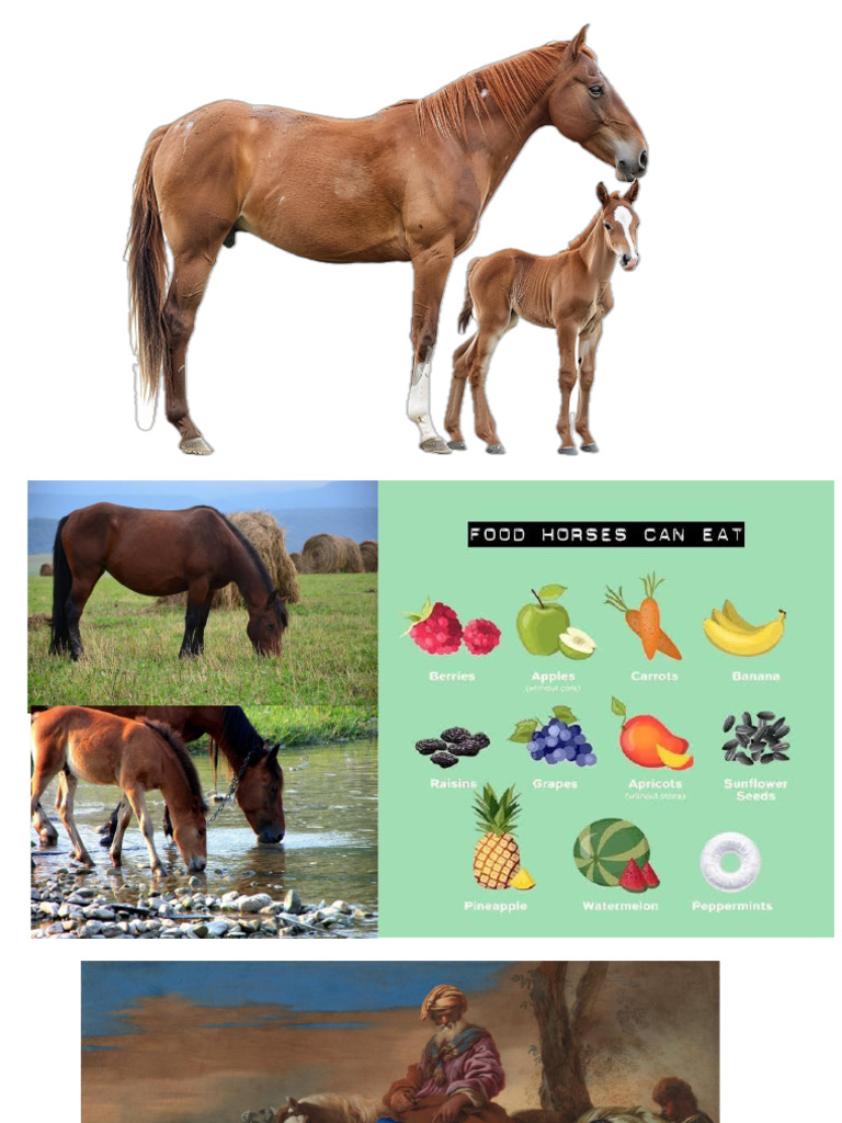 Presentation 3 | PDF