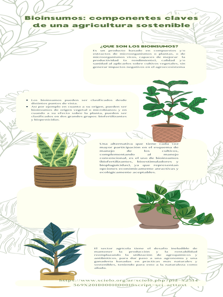Infografía Consejos Para Cuidar A Tus Plantas Ilustrado Verde Pdf 5380