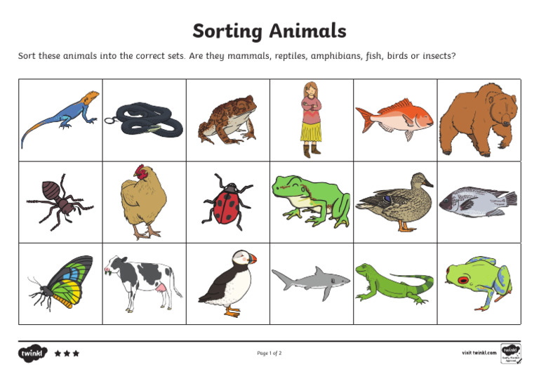 Animal Classification Activity Guide | PDF