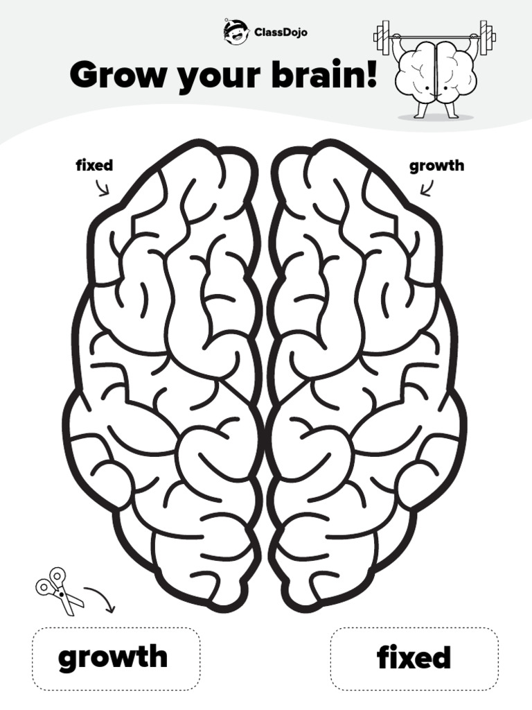 Brain Growth Mindset Techniques | PDF | Brain