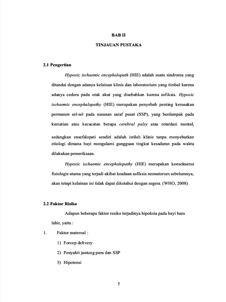 PDF Askep Hie Neonatus - Compress | PDF