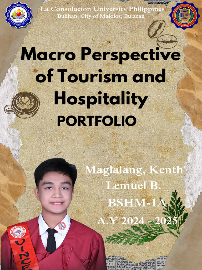 Macro Perspective of Tourism Portfolio | PDF