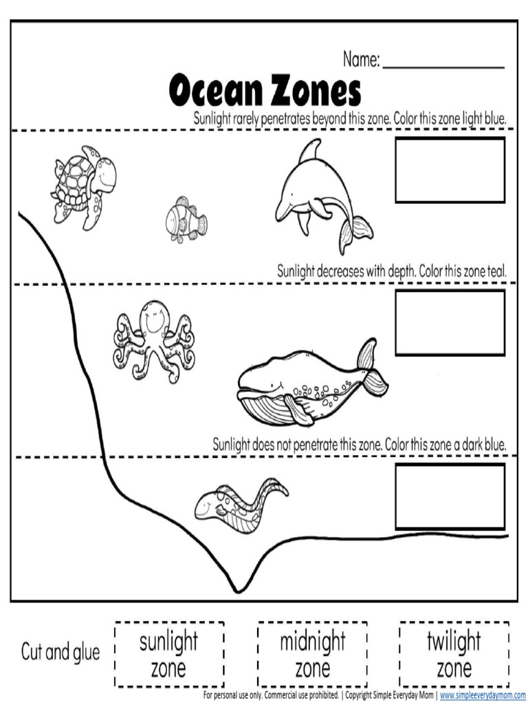 ocean-zones-for-kids-worksheet-2 | PDF
