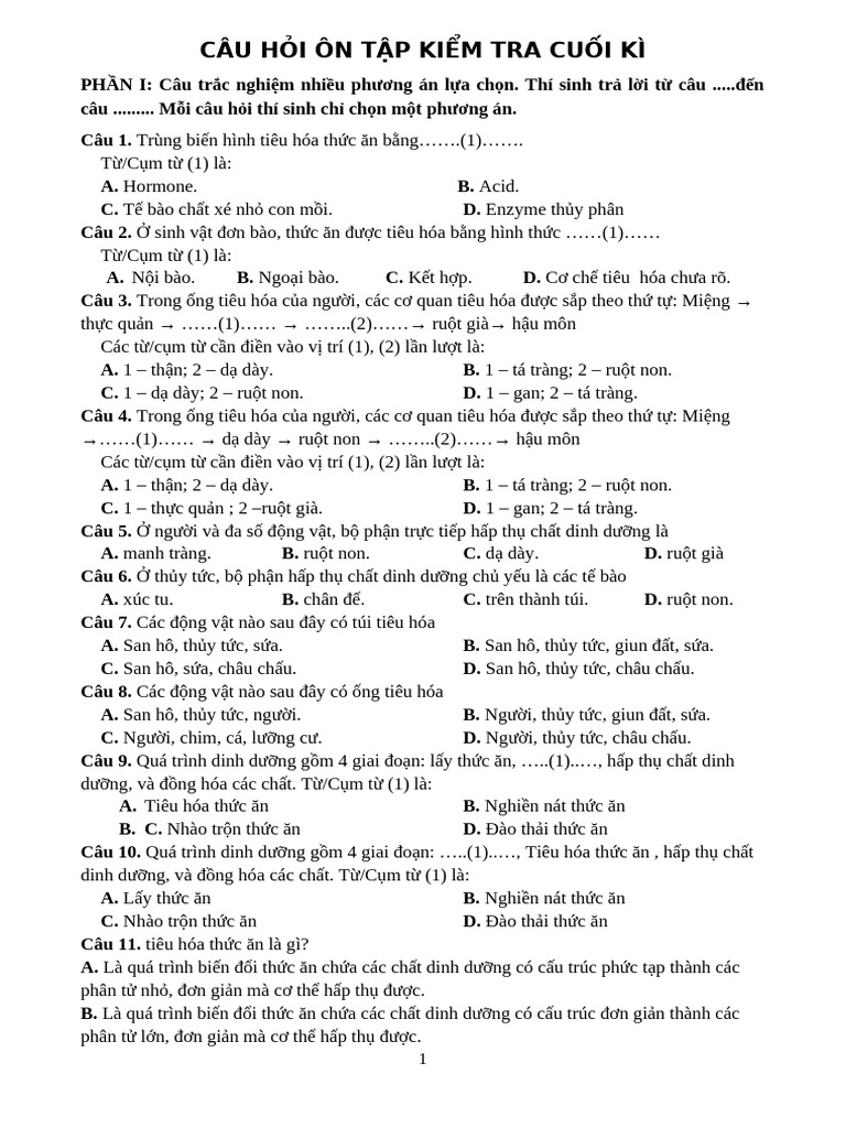 CÂU HỎI ÔN TẬP CUỐI HK1 - SINH 11 - LỚP 11A2 | PDF