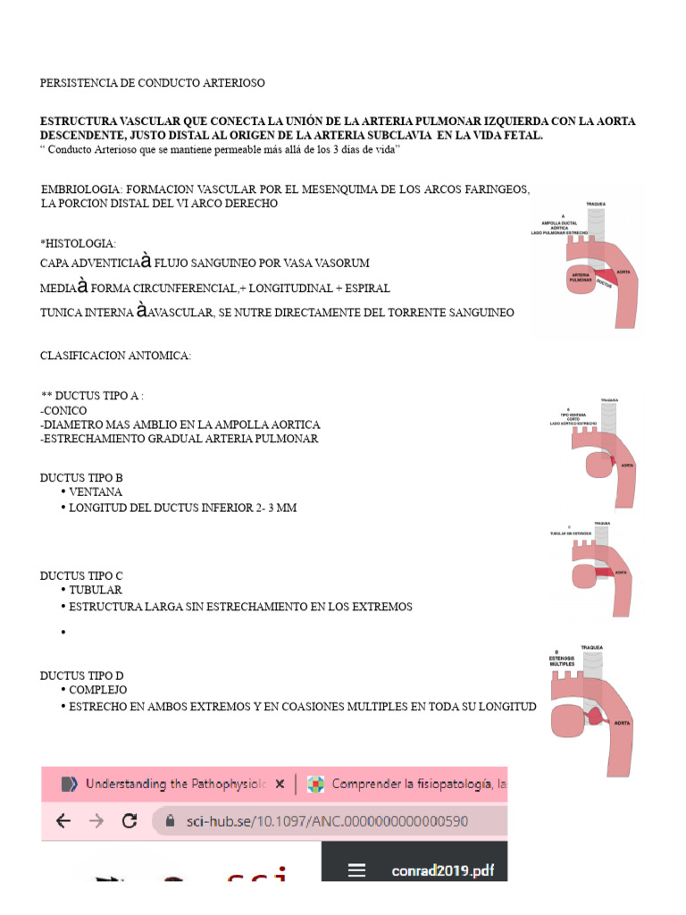 Conducto Arterioso Permeable Cap Resumen | PDF | Ventrículo (corazón ...