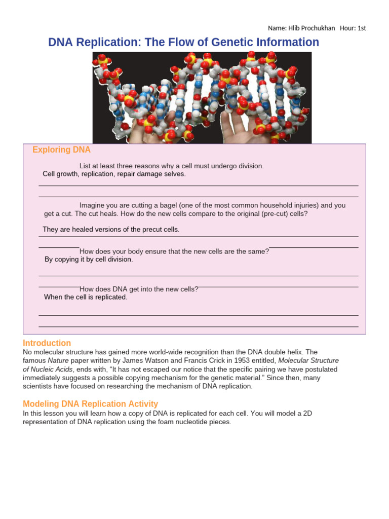Hlib Prochukhan - CB - DNA Replication 3DMD Activity 2023 | PDF | Dna ...