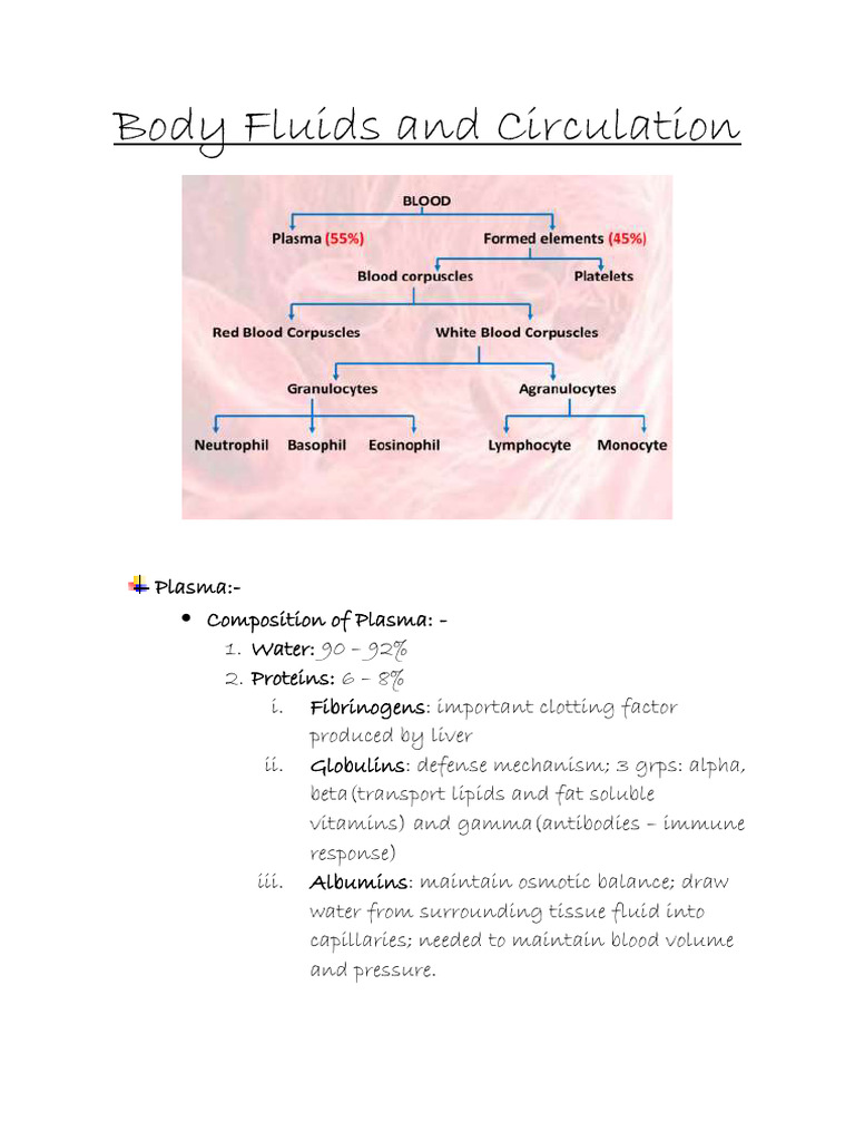 Body Fluids and Circulation | PDF | Lymphatic System | Granulocyte