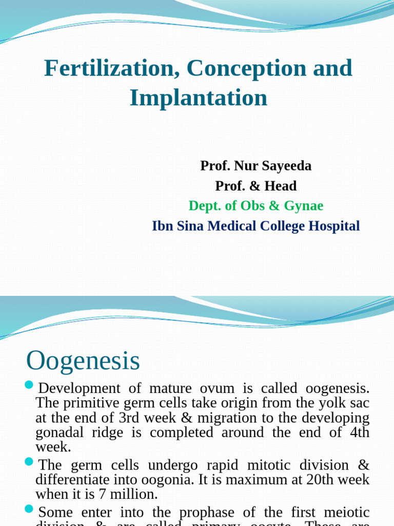 Fertilization-Lecture - NS | PDF | Meiosis | Biological Processes