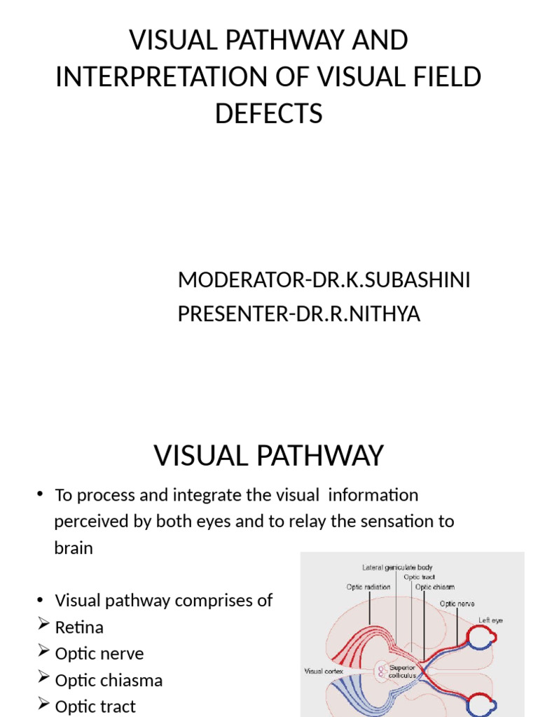 Visual Pathway and Interpretation of Visual Field Defects | PDF | Visual Cortex | Visual System