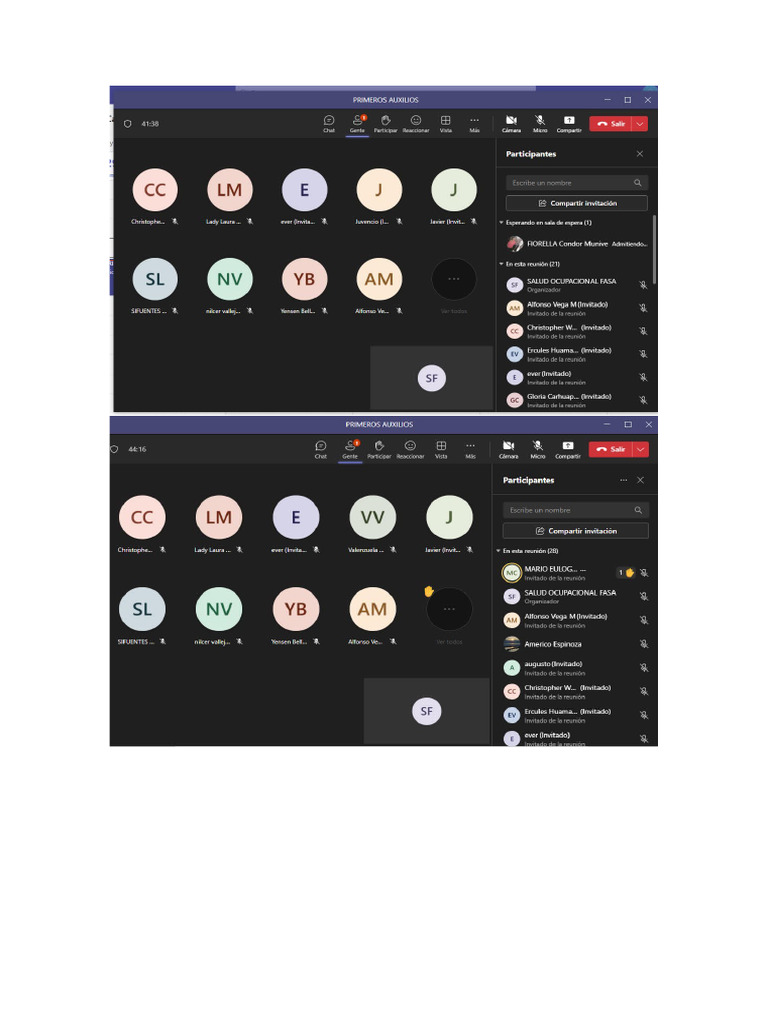 Lady Capacitacion Captura | PDF