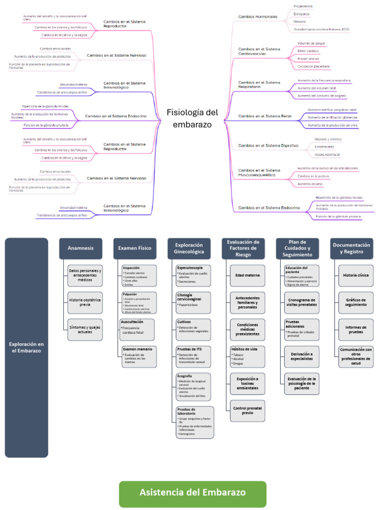 Mapas de obste | PDF | Parto | Periodo posparto