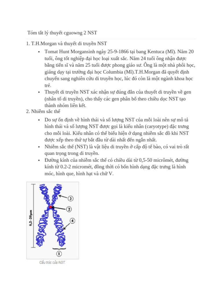 tóm tắt lí thuyết sinh 9 chương 2 NST | PDF