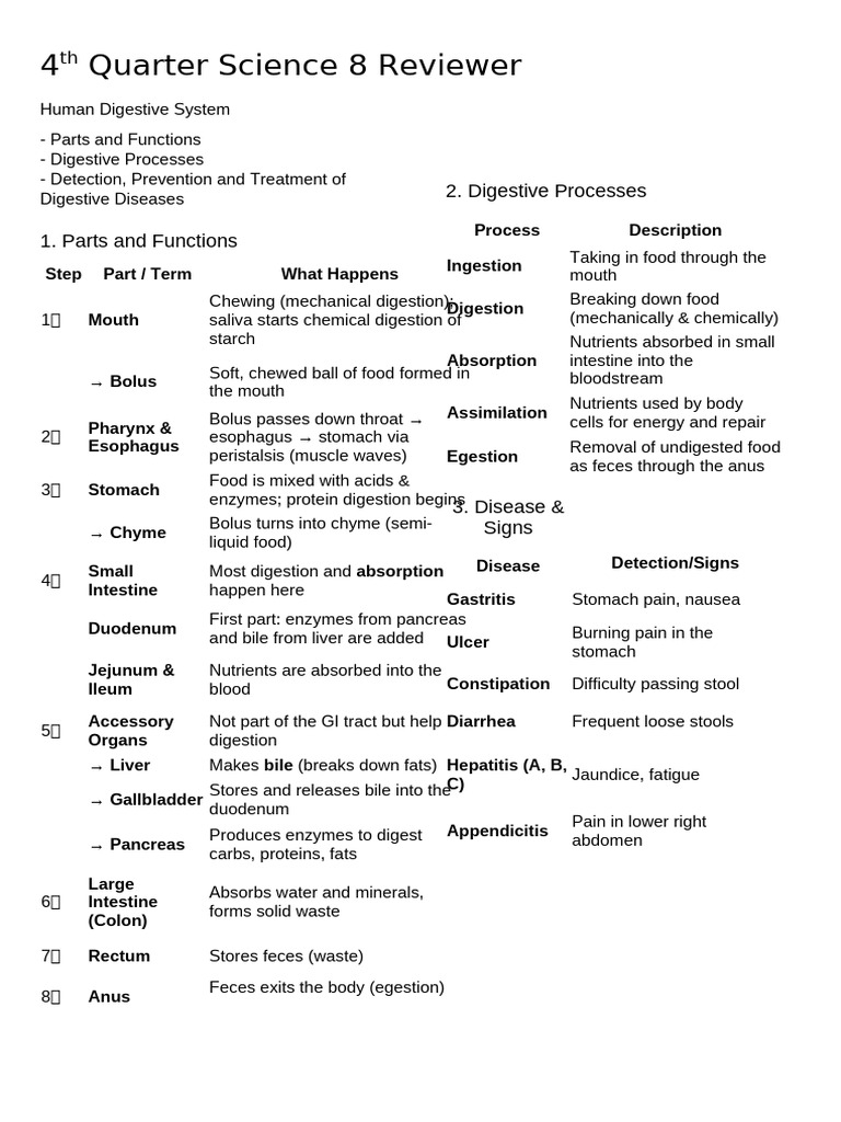 Human Digestive System Lesson 1 | PDF | Human Digestive System | Digestion
