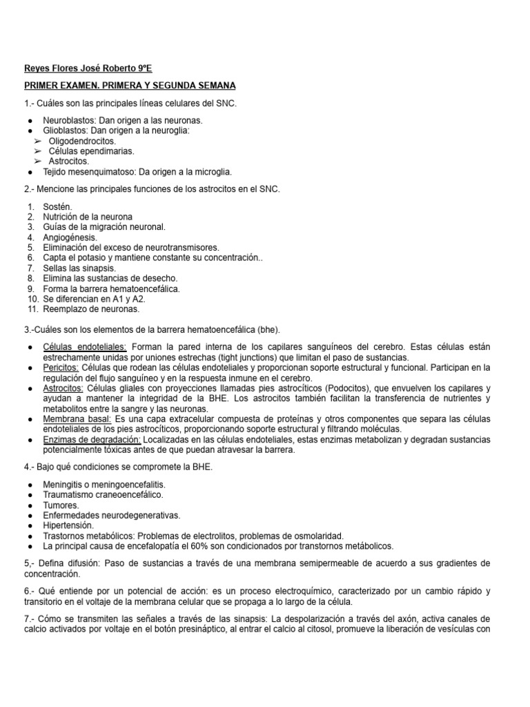 Funciones y Estructuras del SNC en Examen | PDF | Sinapsis | Astrocito