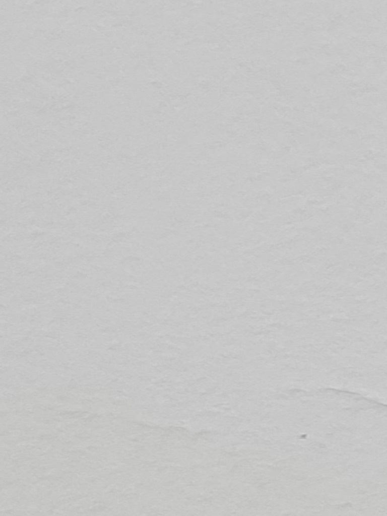 Gallery 20250407 124536 | PDF