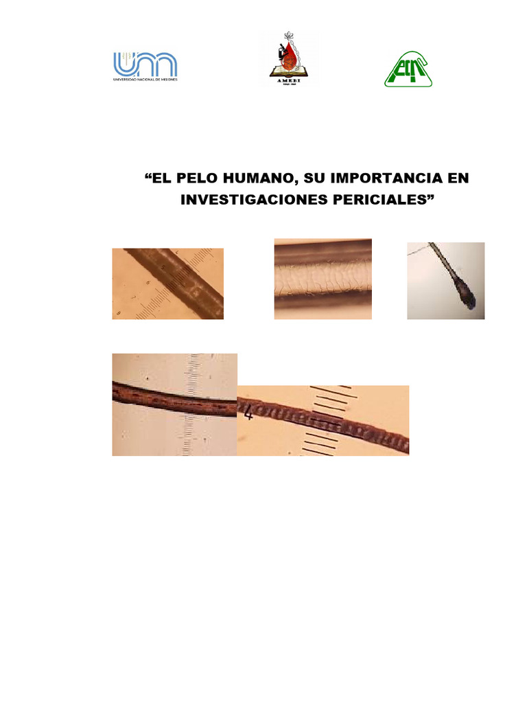 Jornadas AMEBI 2019 Trabajo Práctico PELOS2 | PDF | Pelo
