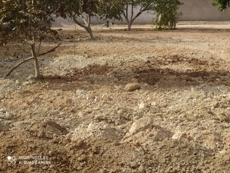 Document WPS Office | PDF