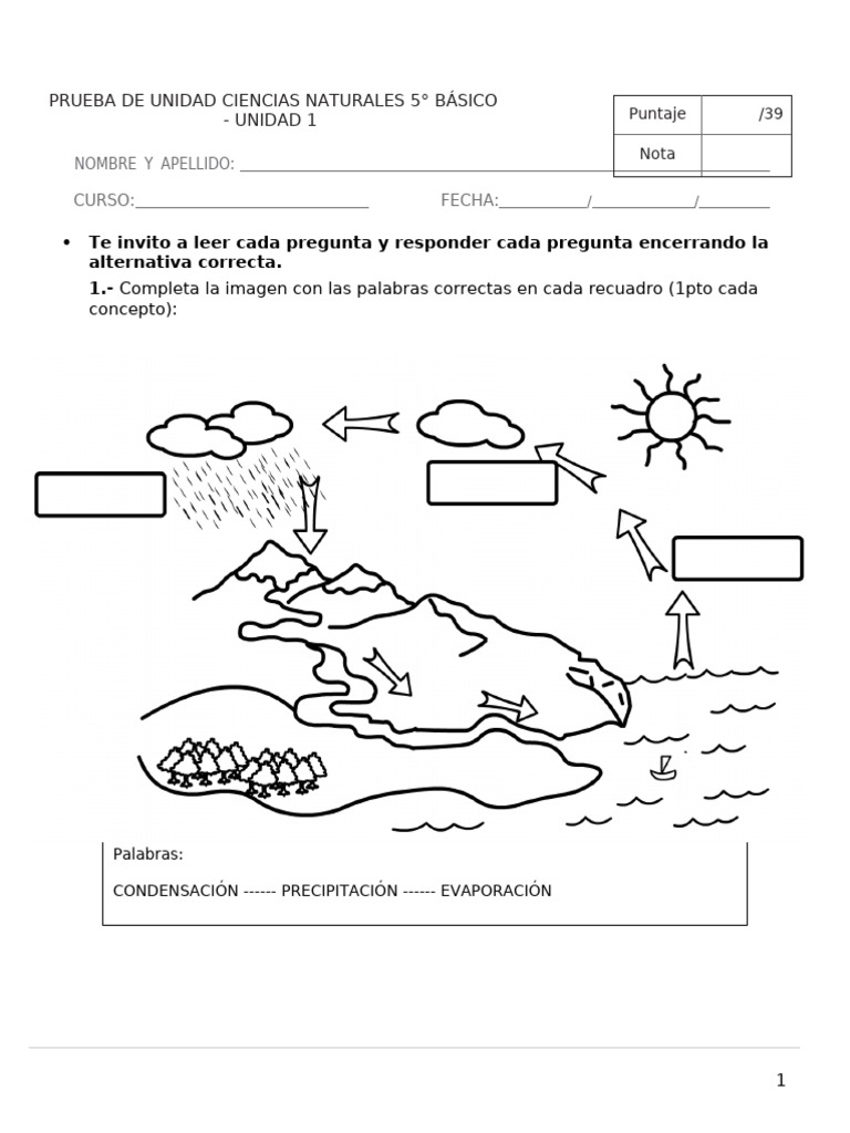 Prueba de Ciencias Naturales 5° Básico | PDF | Agua | Mar