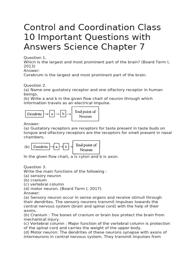 Control and Coordination Class 10 Important Questions With Answers ...