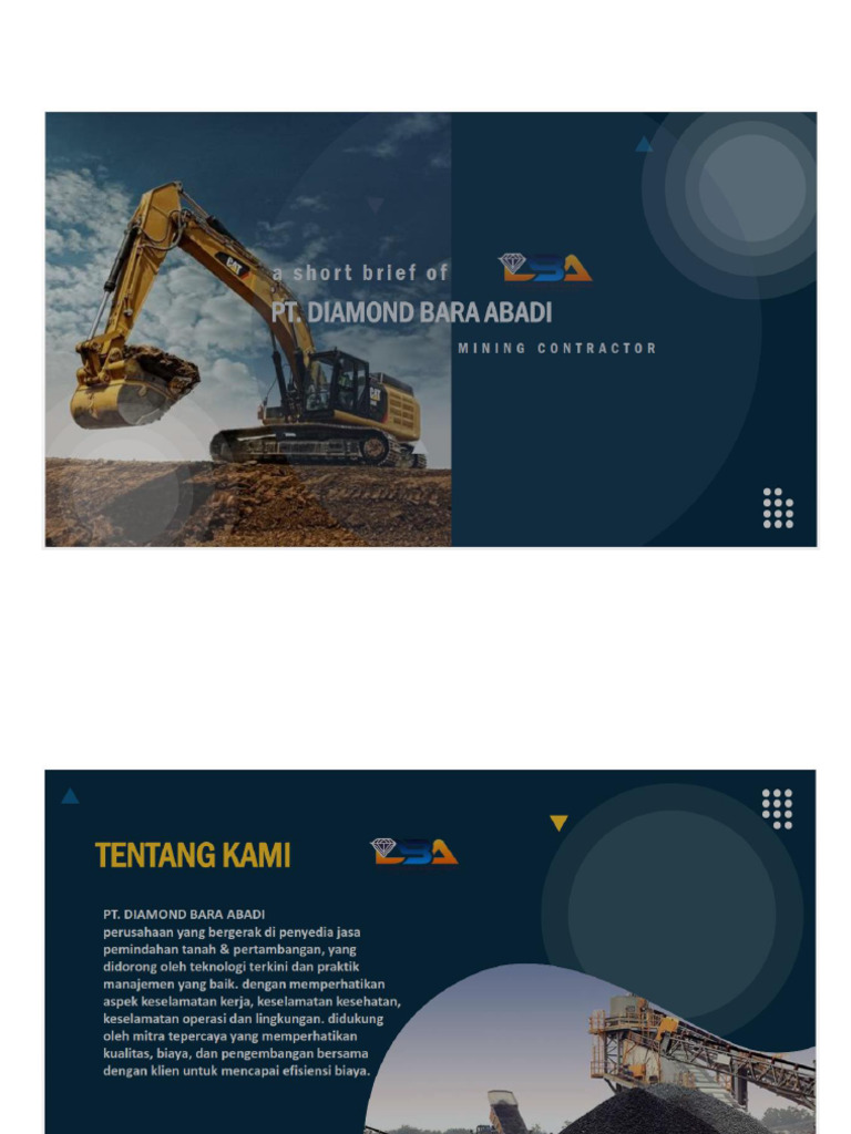 Struktur Organisasi PT Diamond Bara Abadi | PDF