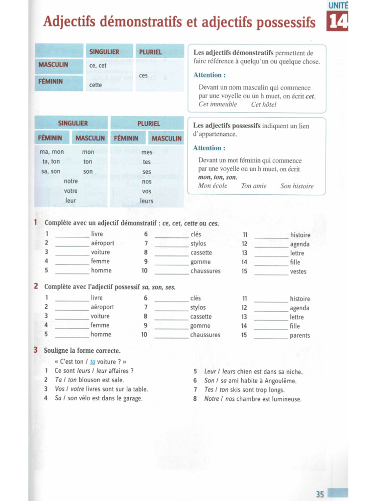 4 Adjectifs Démonstratifs Et Adjectifs Possessifs | PDF