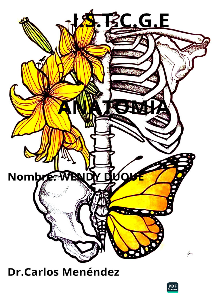 ACE Scanner - 2025 - 03 - 27 | PDF