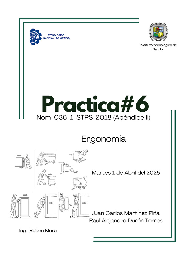 Practica #6 Nom-036-Stps - Ergonomía | PDF
