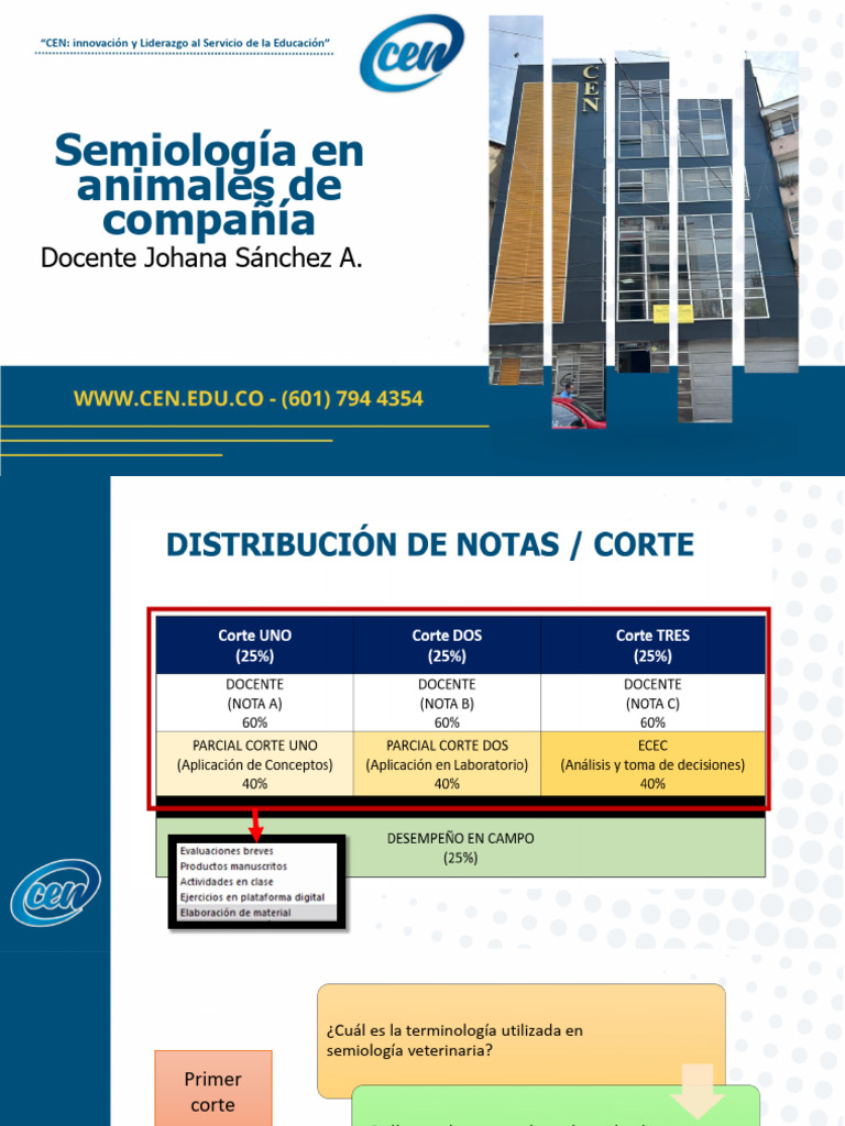 Clase Uno Terminologia Semio | PDF