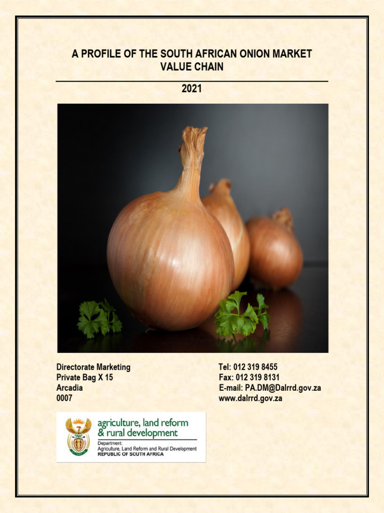 South African Onion Market Overview | PDF | Durban | Africa