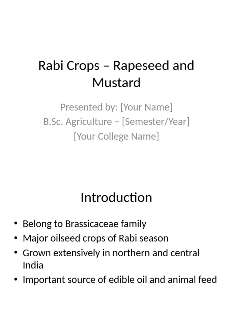 Rabi Crops Rapeseed and Mustard Presentation | PDF | Rapeseed | Edible ...