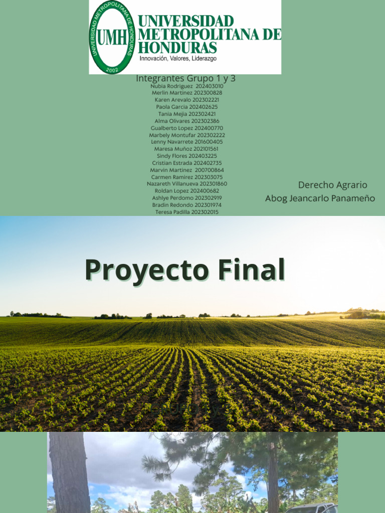Proyecto FINAL-1 | PDF | Derecho Civil (Common Law)