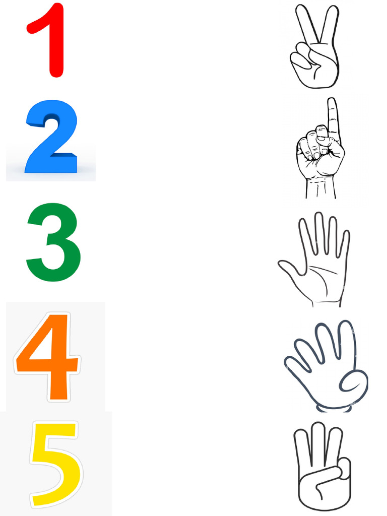 Colors and Numbers | PDF